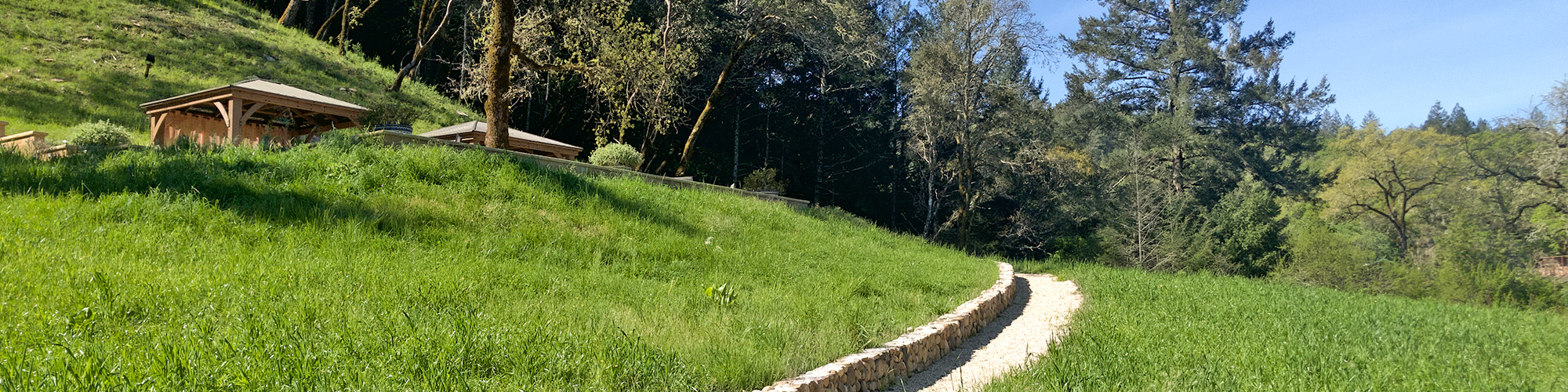 Home - Meadowlark Country House & Resort