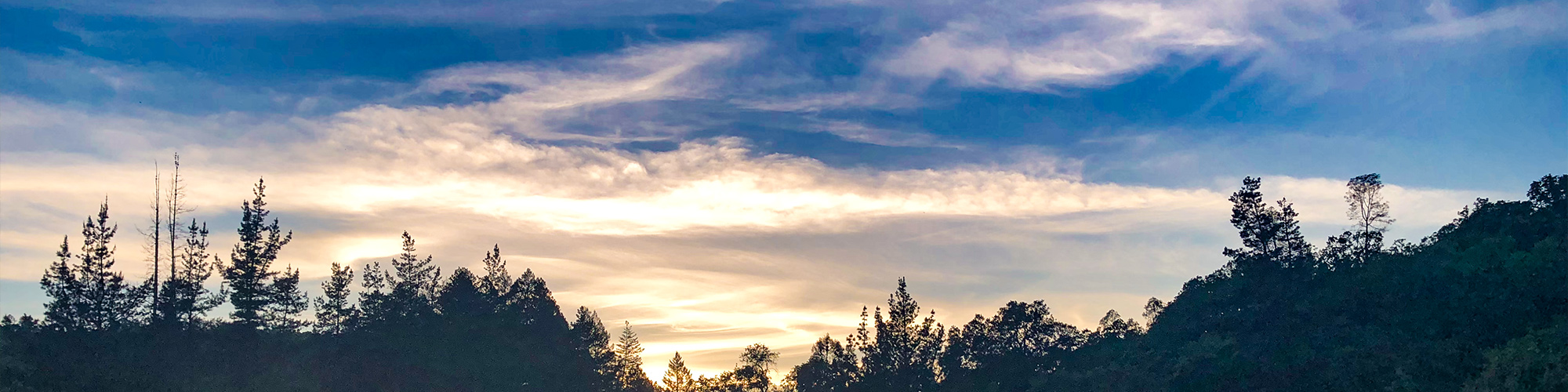 Home - Meadowlark Country House & Resort